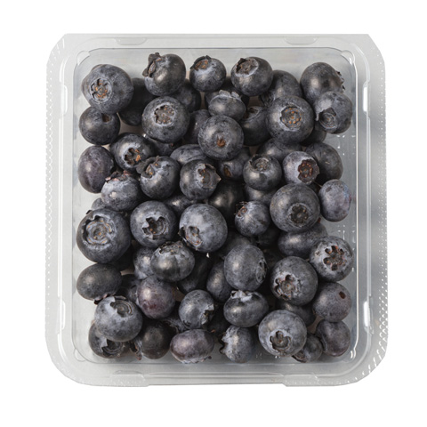 Blueberries - FRUIT BROTHERS