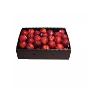 Nectarine - Tray (5kg) - FRUIT BROTHERS