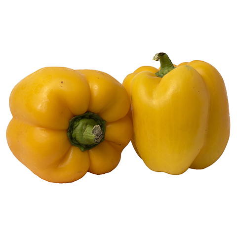 Capsicum - Yellow - FRUIT BROTHERS