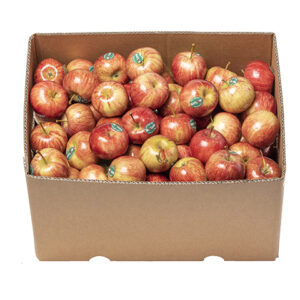 Apple Box Royal Gala (BULK BOX 18kg) - FRUIT BROTHERS